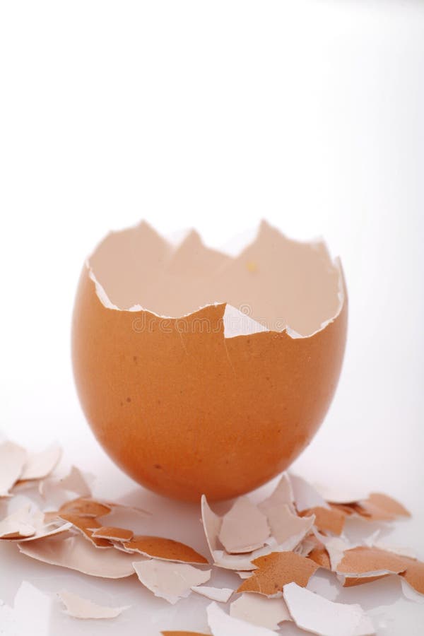 Egg shell hat stock photo. Image of eggs, happy, chick - 1944920