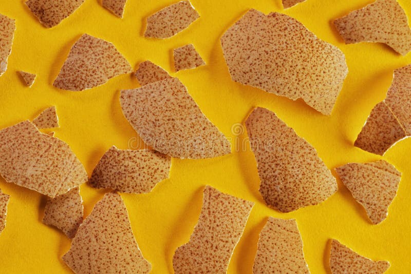 Eggshell background stock image. Image of abstract, effect - 142199885