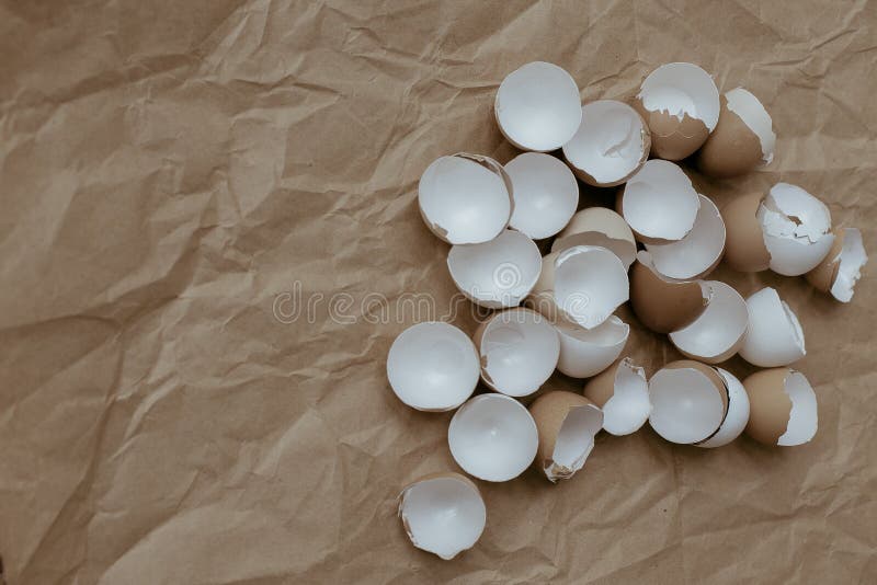 Eggshell on Beige Background, Eggs Isolated. Copyspace Stock Photo ...