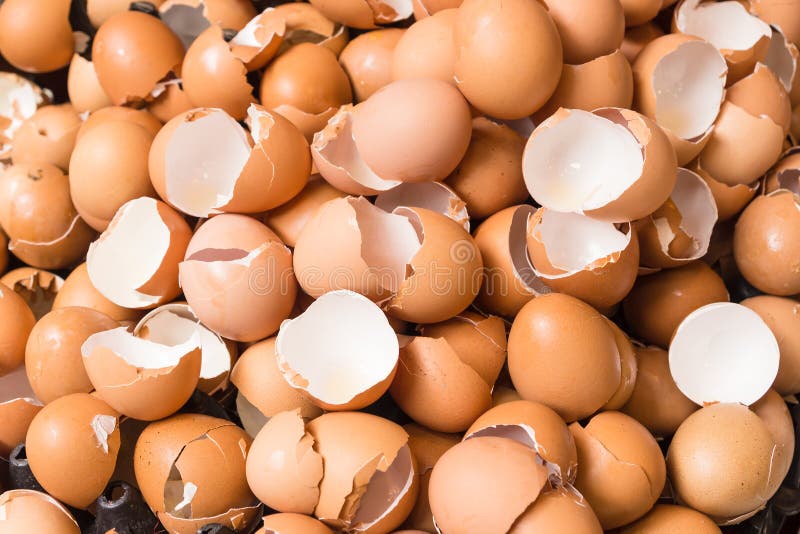 Eggshell stock image. Image of healthy, shell, empty - 44629617