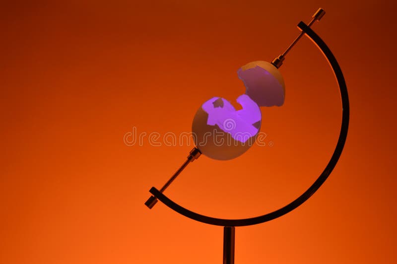 Eggshell in a Caliper Display Stand Stock Image - Image of stand ...