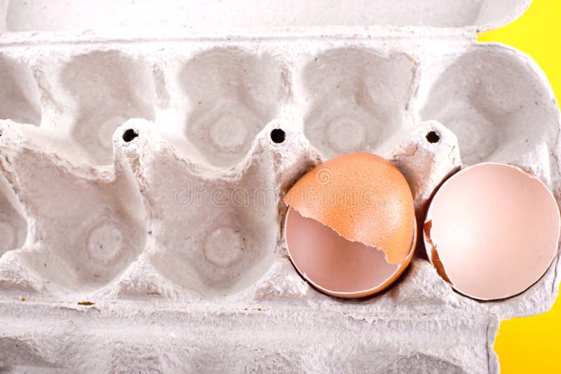 Eggshell in a Cardboard Tray. Stock Image - Image of natural, texture ...