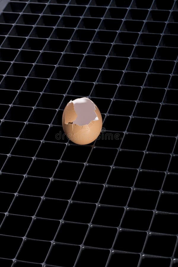 Eggshell in a Cell on a Dark Background of Geometric Shapes Stock Photo ...