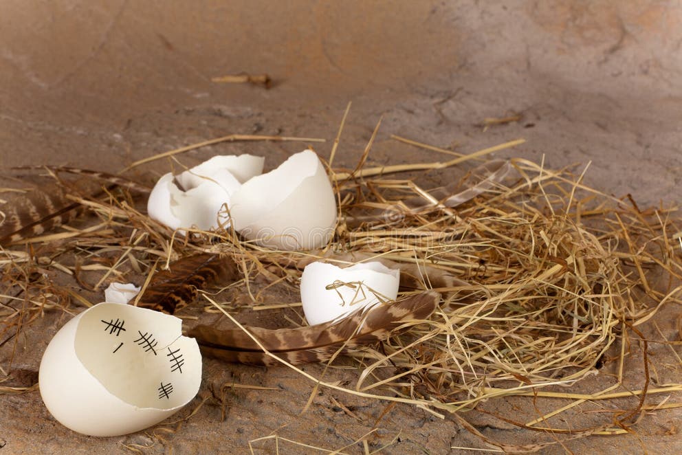Eggshell with Counted Days Calendar Stock Image - Image of closeup ...