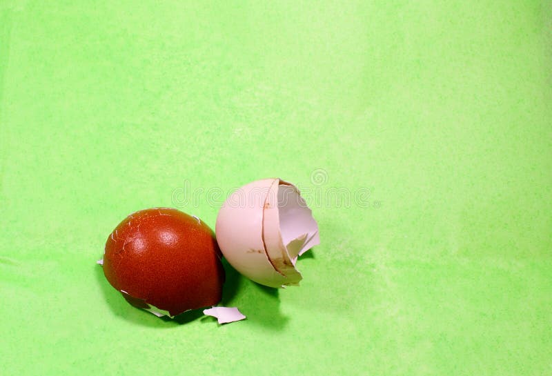 Eggshell stock photo. Image of yolk, abstraction, easter - 52864244