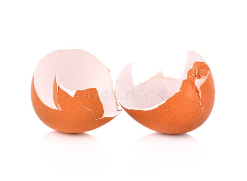 Eggshell Isolated on White Background Stock Image - Image of farm ...