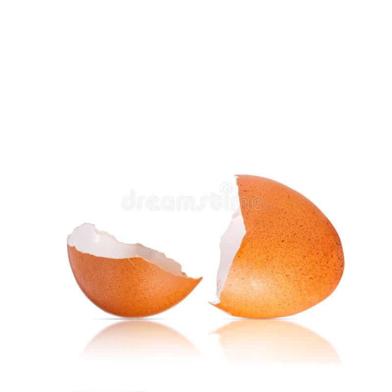 Eggshell Isolated on White Background, Isolated Broken Eggshell Stock ...