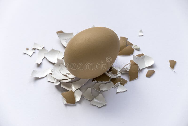 Eggshell Isolated on a White Background Stock Image - Image of boiled ...