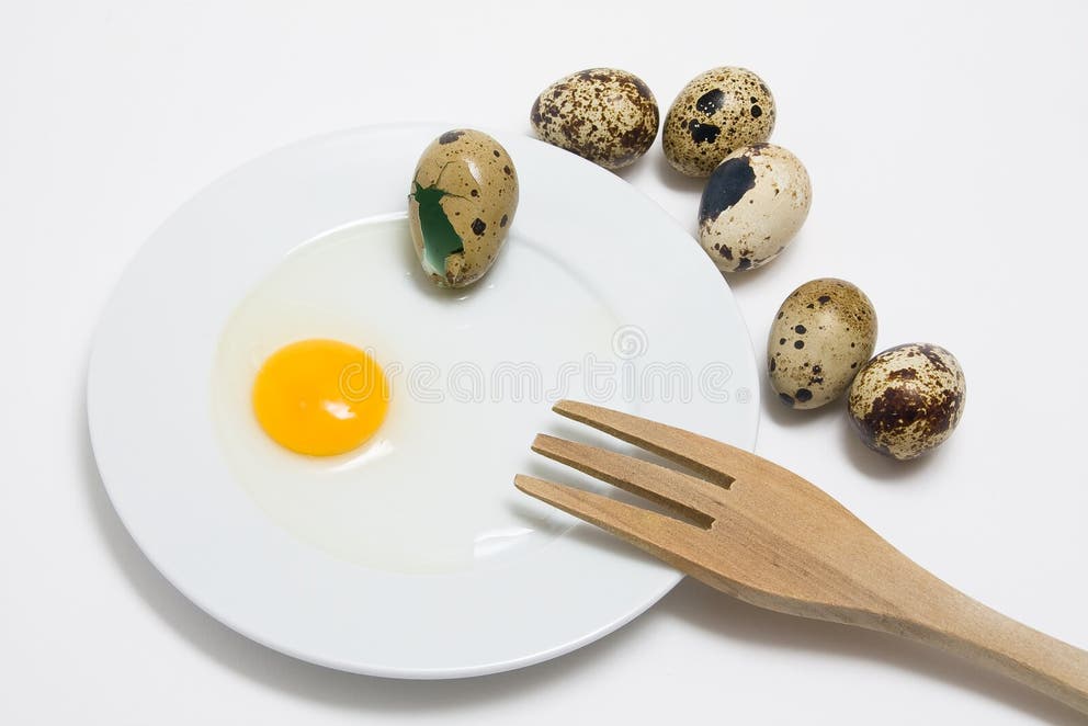 Eggshell in plate stock image. Image of plate, wood, eggshell - 22302677