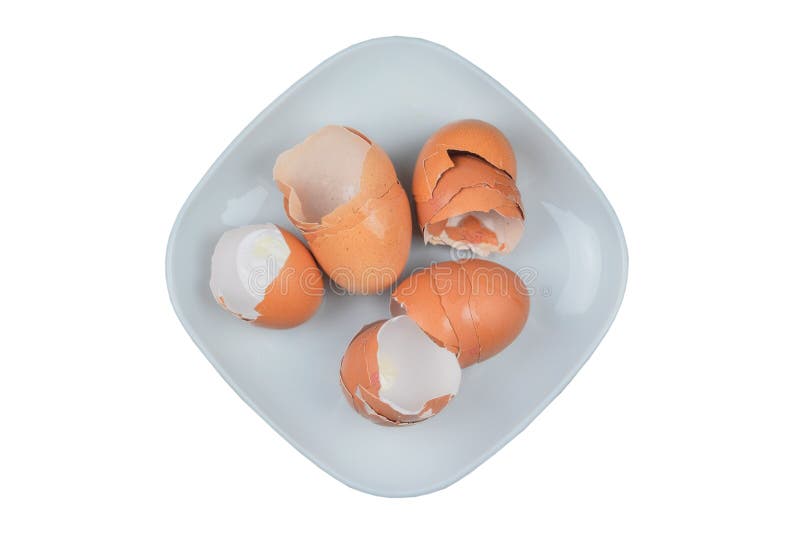 Eggshell. Shell of Eggs in a Plate on Isolated on White Background ...