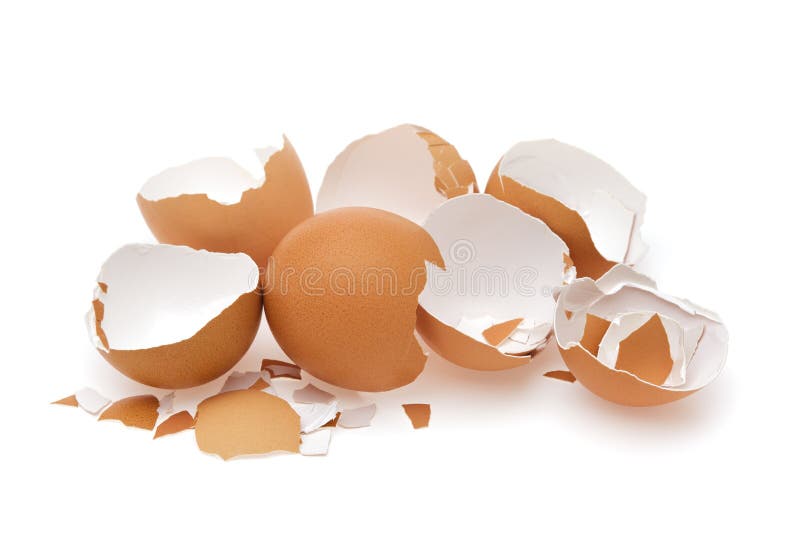 Eggshell. Shell of Eggs on White Stock Photo - Image of drying, farm ...