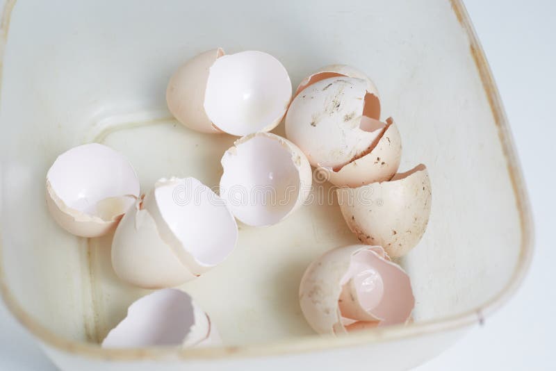 Eggshell. Shell of Eggs on Wooden Kitchen Table Stock Photo - Image of ...