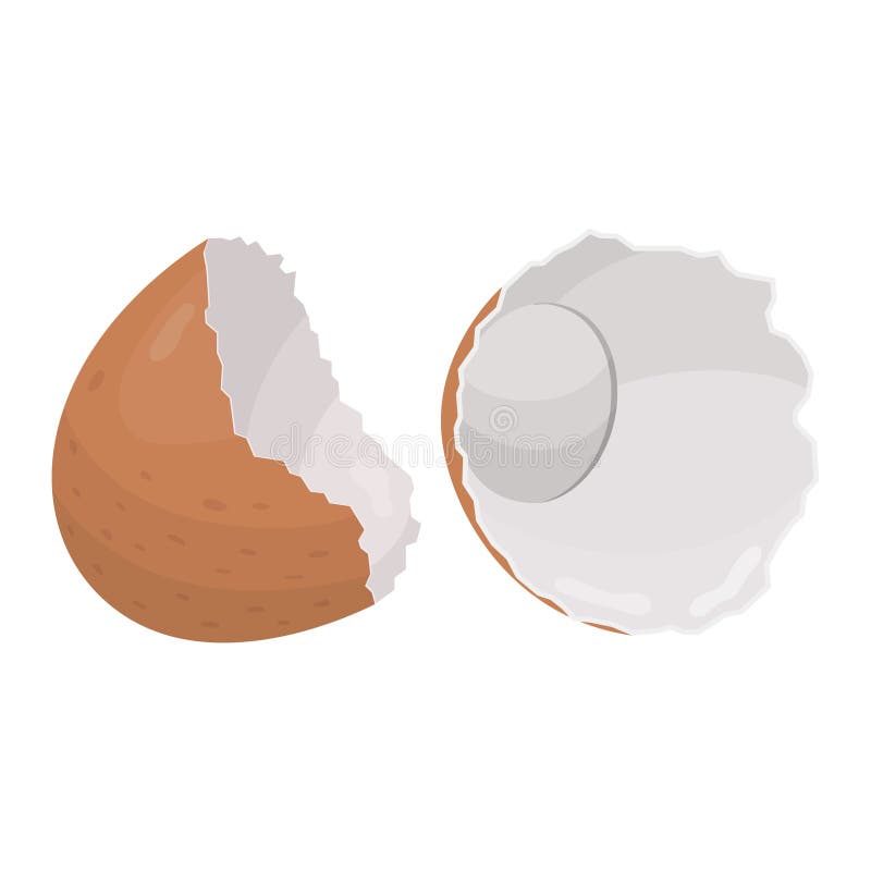 Eggshell Vector Illustration Stock Vector - Illustration of natural ...