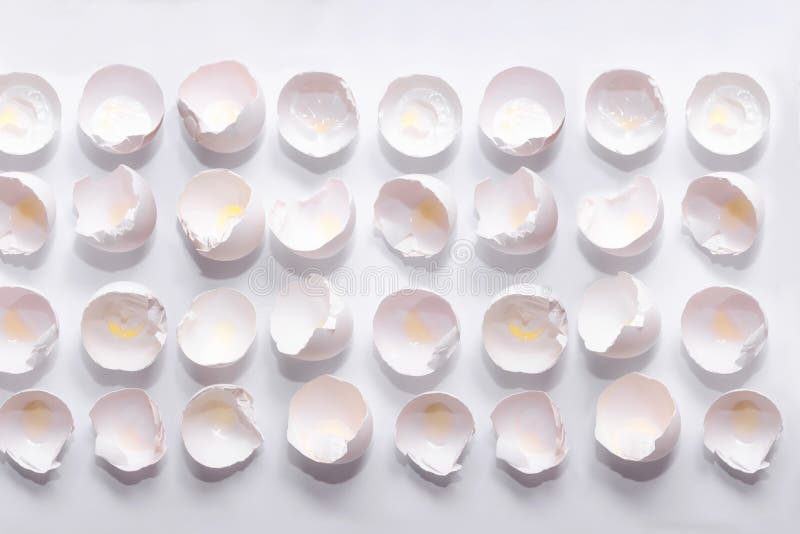 Eggshell on a White Background, Art Concept Design Stock Image - Image ...