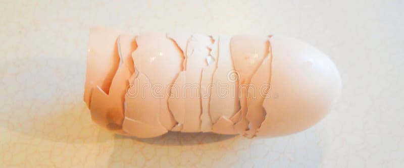 Eggshell on a White Table after Cooking. Empty Eggshell Shell Stock ...
