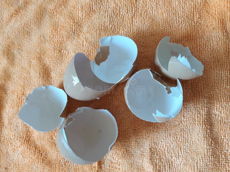Eggshells, Egg Yolks and Clear Stock Photo - Image of broken, yolks ...