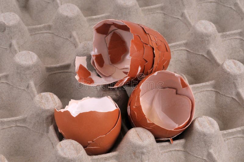 Eggshells in an Empty Egg Carton Closeup Stock Image - Image of closeup ...