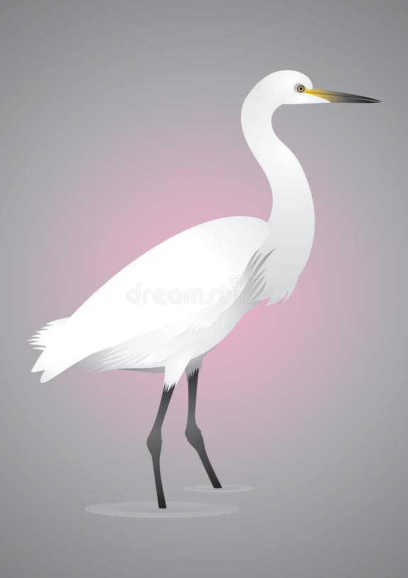 Egret Stock Illustrations – 5,665 Egret Stock Illustrations, Vectors ...