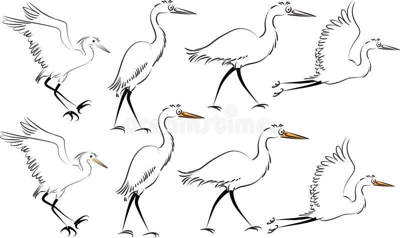 Egret Drawing Stock Illustrations – 1,412 Egret Drawing Stock ...