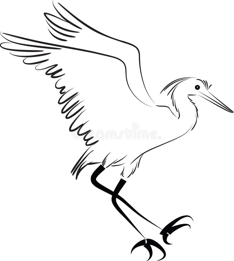 Egret Flying Drawing Stock Illustrations – 558 Egret Flying Drawing ...
