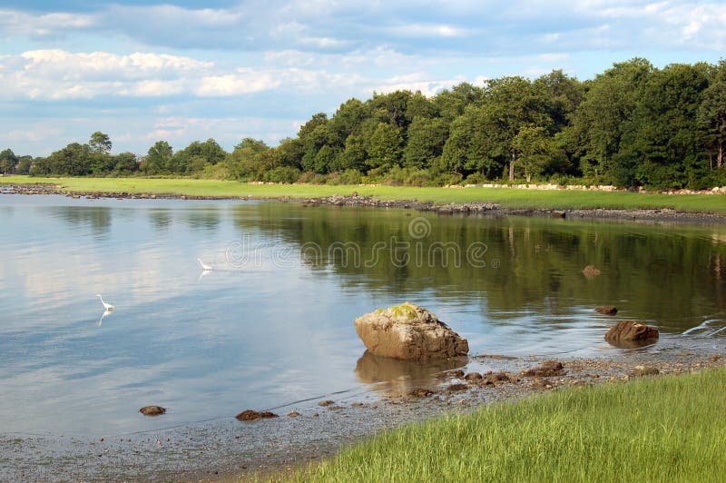 Egrets Wade in the Shallow Coastal Waters Stock Image - Image of ...