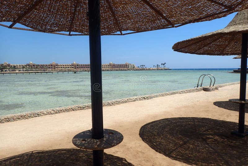 Egypt Beach in the Hurghada Stock Image - Image of beautiful, tree ...