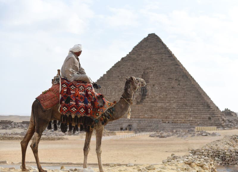 Egypt camel editorial stock photo. Image of egypt, desert - 132838058