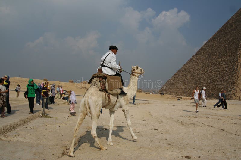 Egypt Camel Rider editorial photo. Image of arabic, architecture - 24790011