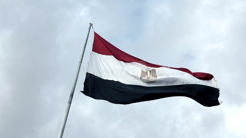 Egypt Flag Video Waving in Wind. Egypt Flag Wave Loop Waving in Wind ...
