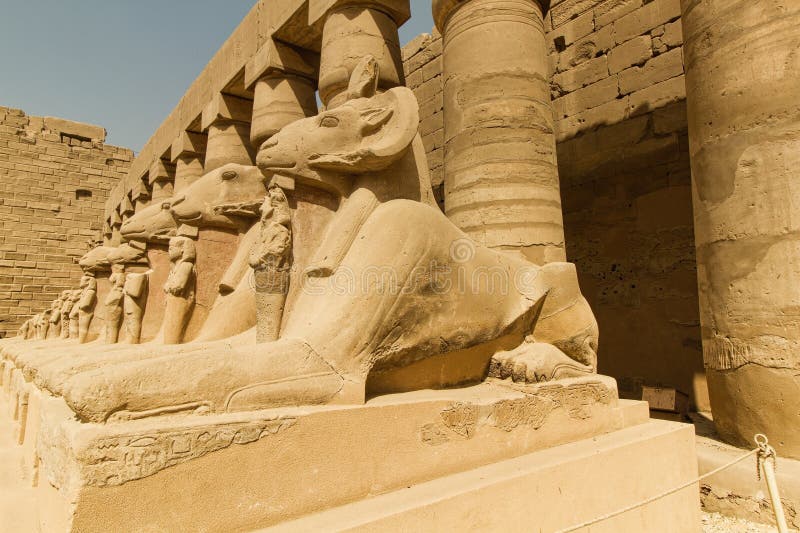 Egypt Karnak Ram-headed Sphinxes 2 Stock Photo - Image of sand, egypt ...