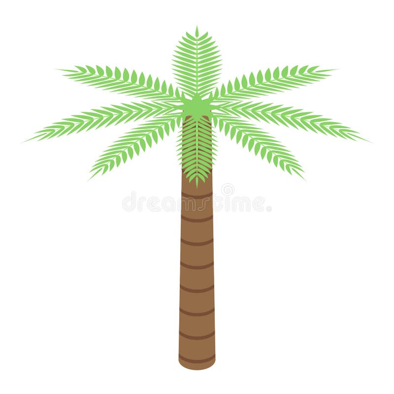 Egypt Palm Tree Icon, Isometric Style Stock Vector - Illustration of ...