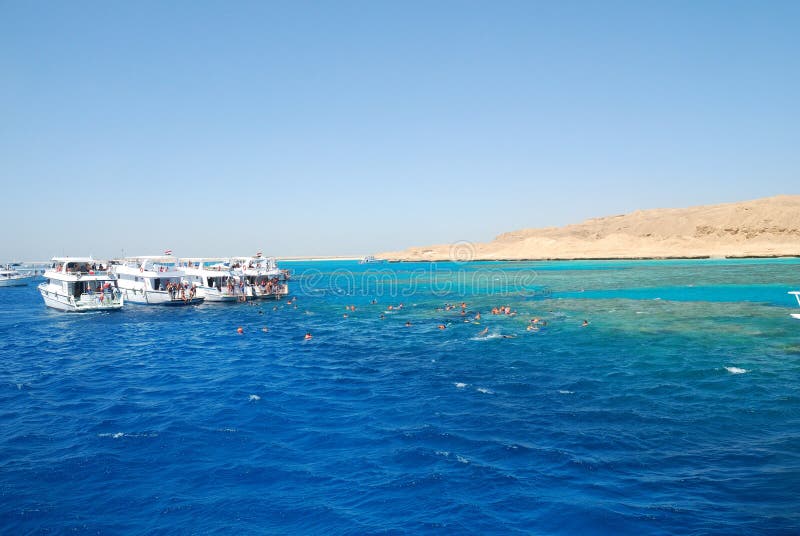 Egypt Red Sea stock photo. Image of travel, snorkeling - 7372378