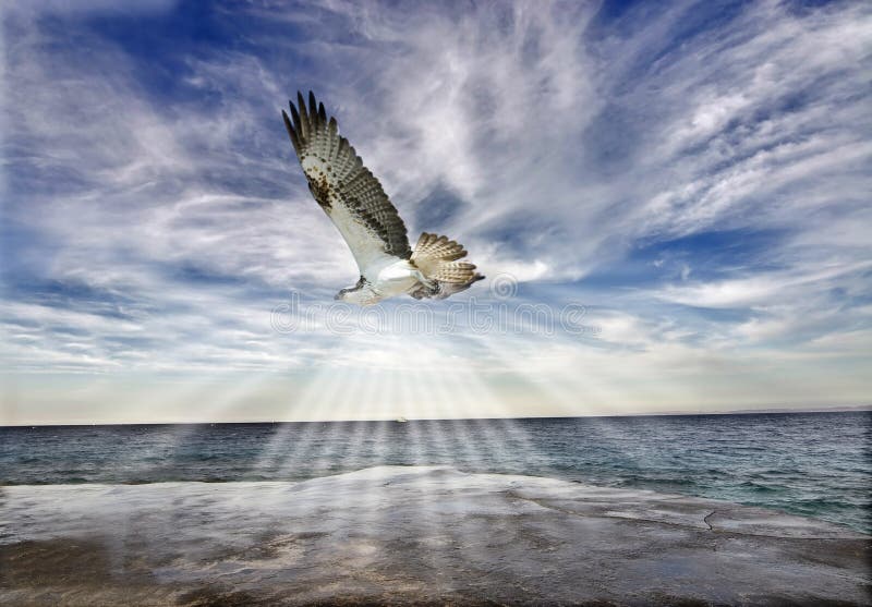 Egypt, sand, plane stock photo. Image of obscured, summer - 8532100