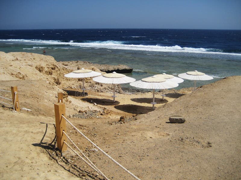 Egyptian beach stock image. Image of pyramids, camelus - 19883993