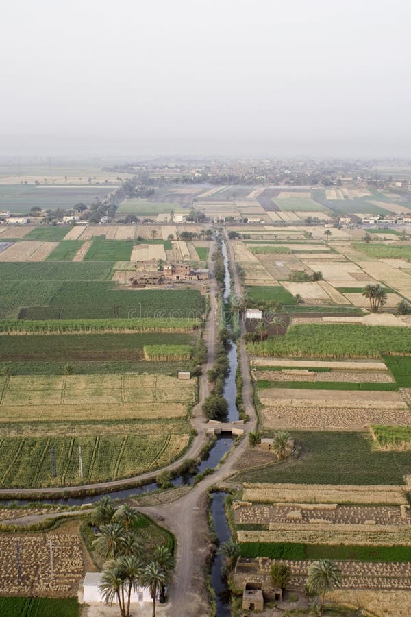 Egyptian Farm stock photo. Image of colourful, culture - 14403612
