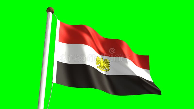 Egyptian flag on flagpole. stock video. Video of outside - 255316865