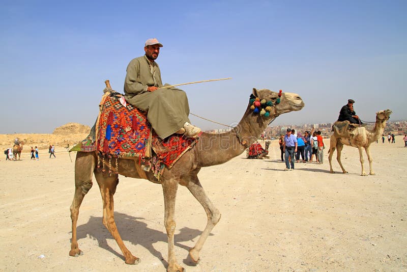 Egyptian Guide Offering To Tourists Camel Ride Editorial Photography ...
