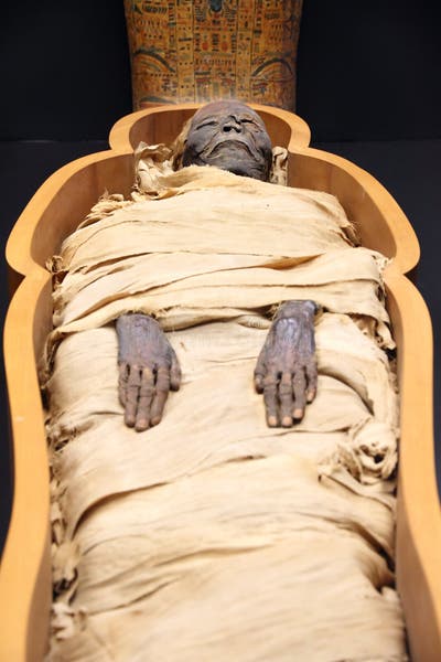 2,629 Egyptian Mummy Sarcophagus Stock Photos - Free & Royalty-Free ...