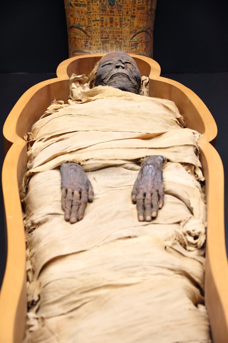 2,629 Egyptian Mummy Sarcophagus Stock Photos - Free & Royalty-Free ...