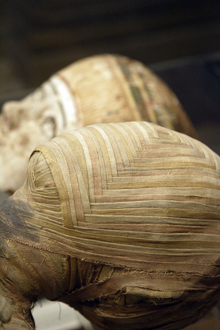 922 Mummy Box Stock Photos - Free & Royalty-Free Stock Photos from ...