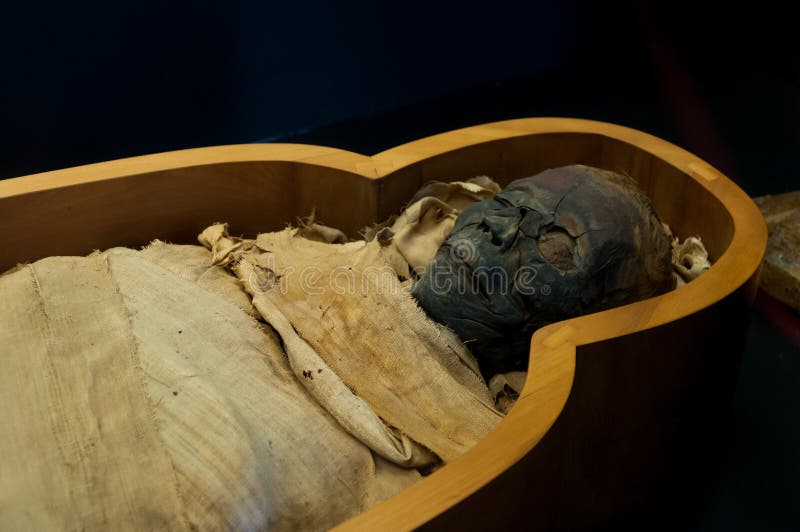 Egyptian Mummy in Vatican Museum Editorial Stock Image - Image of head ...