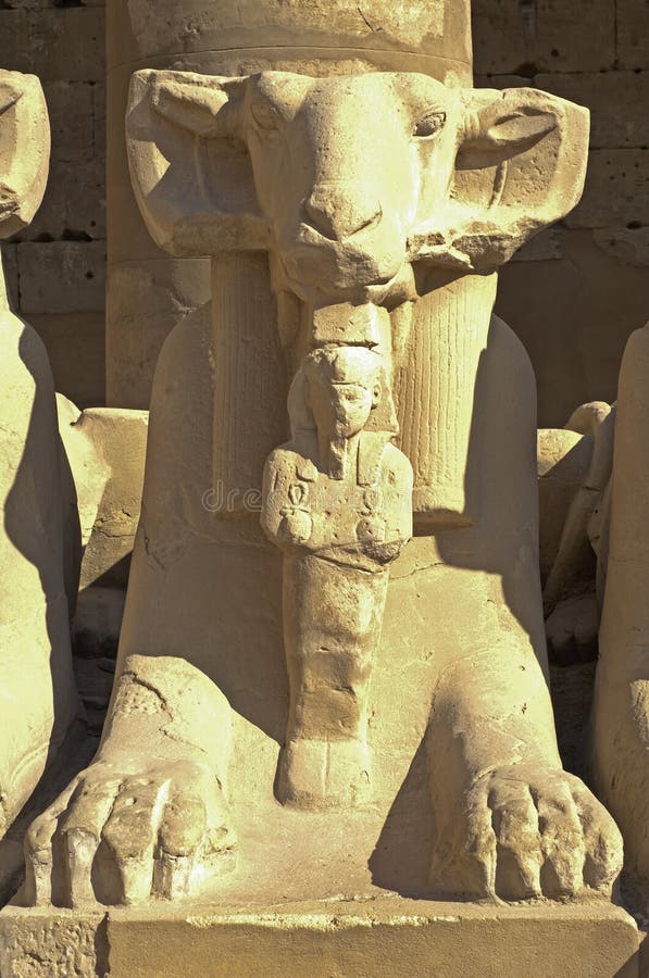 Egyptian Ram Sphinx at Karnak Stock Photo - Image of goat, karnak: 12469986