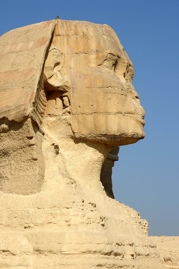 The Sphinx Nose