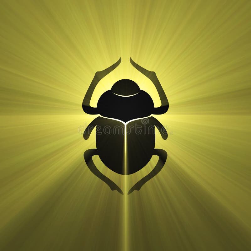 Egyptian Dung Beetles