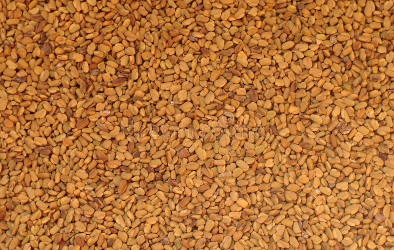 Traditional Egyptian Tea Helba Stock Photo - Image of helba, glass ...