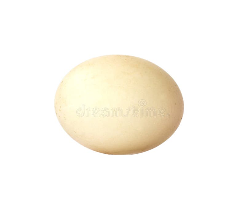 Ei einer Ente stockbild. Bild von köstlich, markt, produkt - 23918829