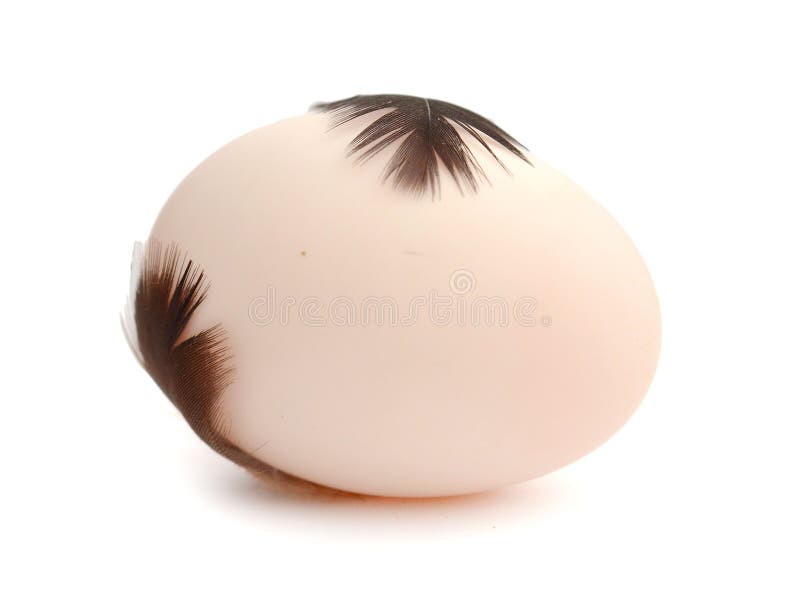 Ei met dooier stock afbeelding. Image of bruin, behandeling - 99655229