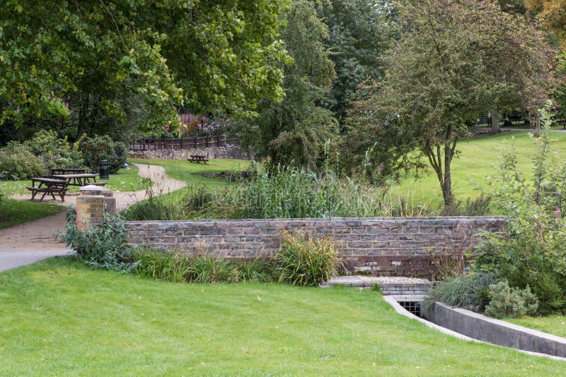 Eichelbaum Mit Dem Eichelwachsen Stockbild - Bild von herbst ...