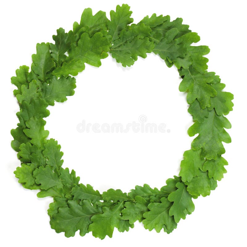 Eichenkranz stockbild. Bild von eiche, feld, muster, heidnisch - 31416203