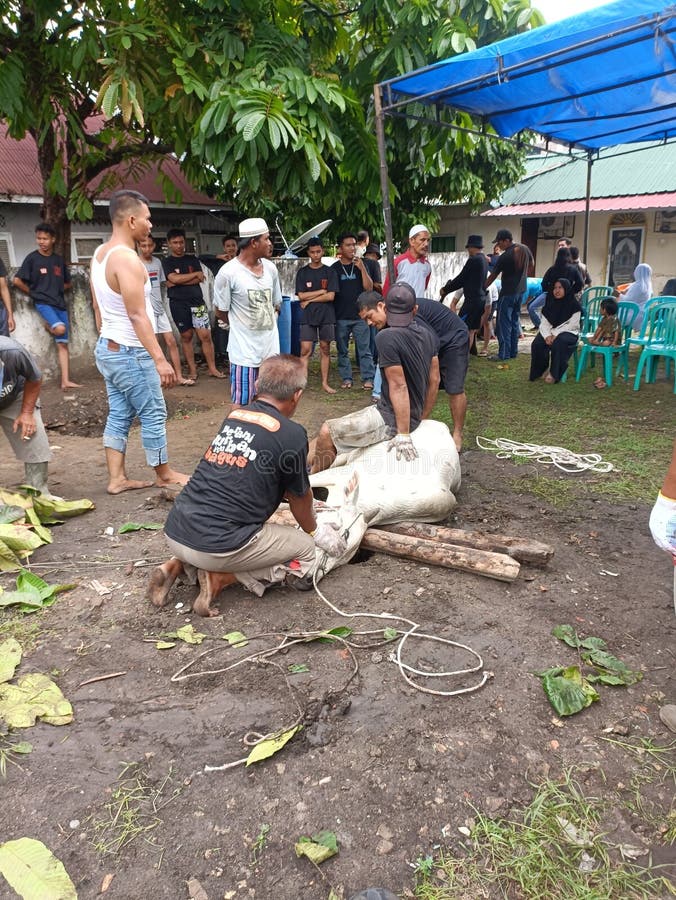 Eid al-Adha celebration editorial photography. Image of indonesia ...